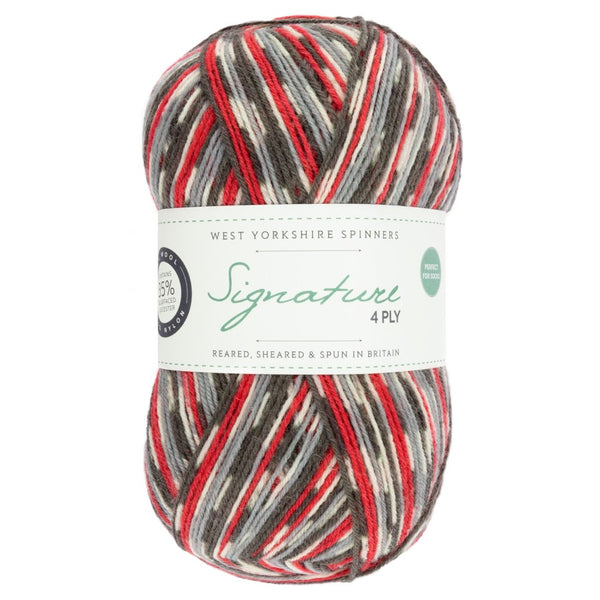 WYS Signature 4 ply Sock Yarn – Northwest Yarns